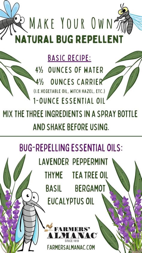 Diy Natural Bug Repellent Diy Bug Repellent Spray Essential Oil