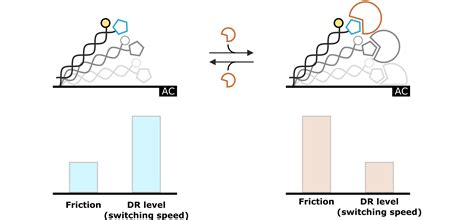 What Are The Signals That Can Be Derived From Switchsense® Experiments Dynamic Biosensors