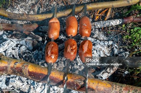문명에서 멀리 야생 숲의 스테이크에서 요리 자연에서 꼬치와 그릴 바베큐 사진 고기에 대한 스톡 사진 및 기타 이미지 고기 구이 굽기 Istock