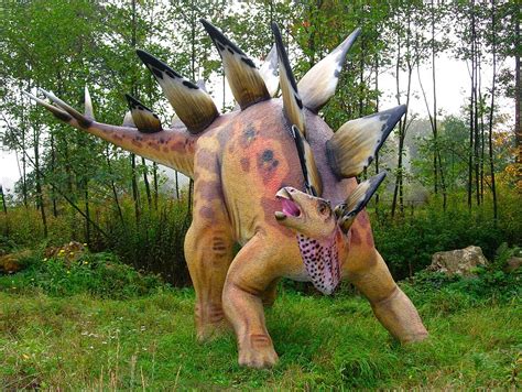 Stegosauria Wikipedia