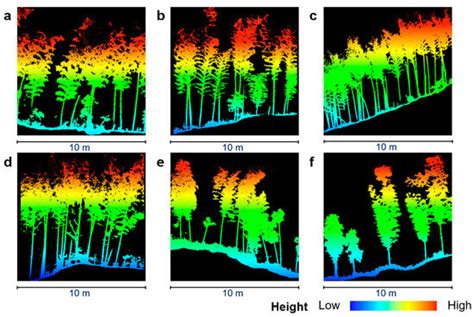Forests Special Issue Lidar Remote Sensing For Forestry