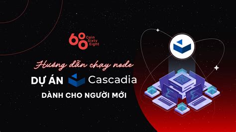 Hướng Dẫn Chạy Node Dự án Cascadia Dành Cho Người Mới