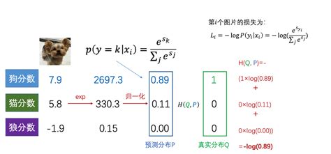 计算机视觉 损失函数和优化 jason‘s blog