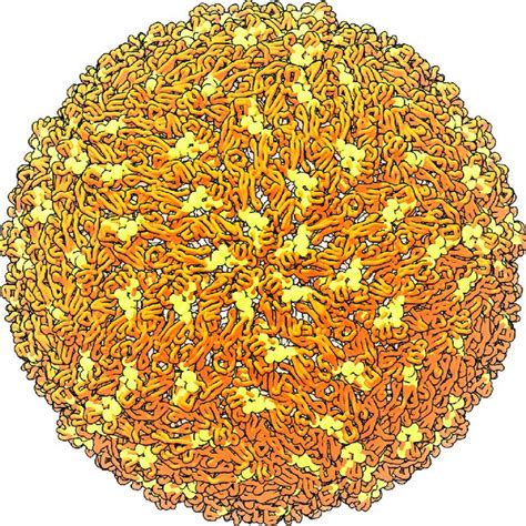 Overview Of Vlp Based Vaccine Expression Purification And Formulation Download Scientific