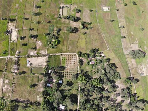 Premium Photo High Angle View Of Trees On Field Premium Photo High Angle View Of Trees On Field