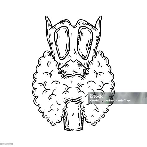 Ilustración De Boceto Dibujado A Mano De La Glándula Tiroides Humana Ilustración Vectorial