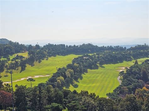 골프초보 골린이 입문 골프타수 용어 네이버 블로그