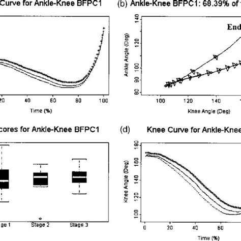 Functional Principal Component Analysis Of The First Bivariate