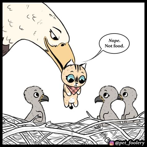 Needs Her Daily Dose Of Love Square Pixie And Brutus A Brush With Freedom