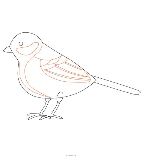 Как нарисовать синичку поэтапно 🖌 Рисунки карандашом поэтапно