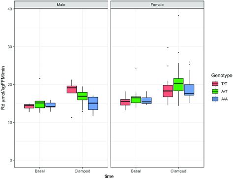 Glucose Uptake Rd By Sex And Genotype Glucose Rd At Basal Time And Download Scientific