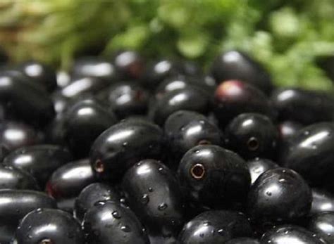 Jamun Side Effects Foods To Avoid With Jamun Fruit Health Tips In