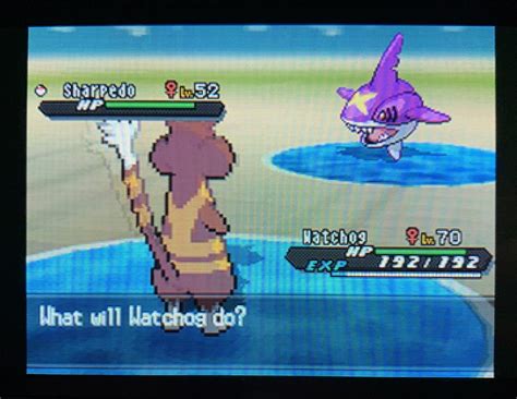 5 Shiny Sharpedo In Black 2 After 7142 Fishing Spot Encounters R