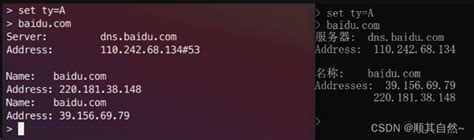 nslookup 入门命令详解 csdn博客