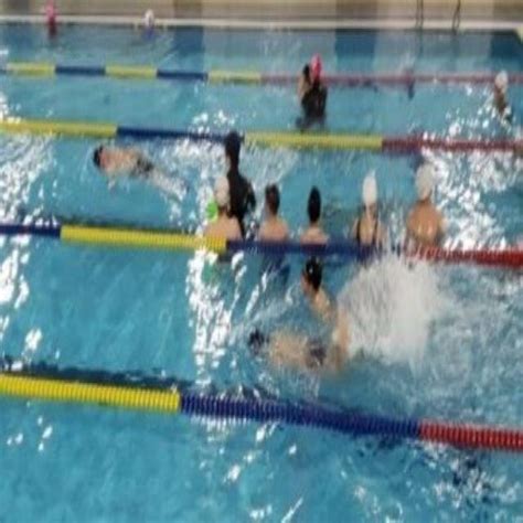 Drowning Detection And Prevention In Swimming Pools Object Detection Dataset V3 2023 05 24 5