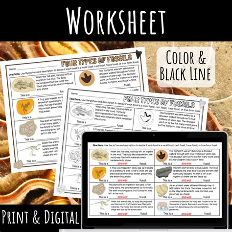Types Of Fossils Lesson With Google Slides Notes Worksheet And Answer Key Classful