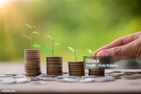 돈 동전을 넣는 손 돈 동전 스택 성장 그래프 돼지 저금통 저축 개념 사업 금융 및 돈 투자 절약 동전에 자라는 식물 저축과 투자의 균형을 맞춥니다 돼지 저금통에 대한 스톡