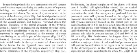 Models For The Spatial Relationship Between Myocytes And Their