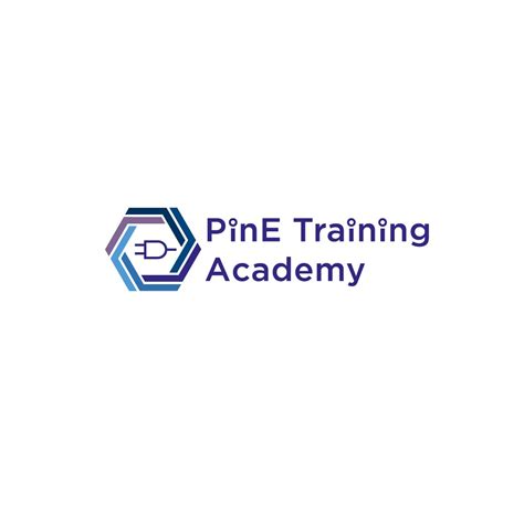 Vlsi Physical Design Pine Training Academy