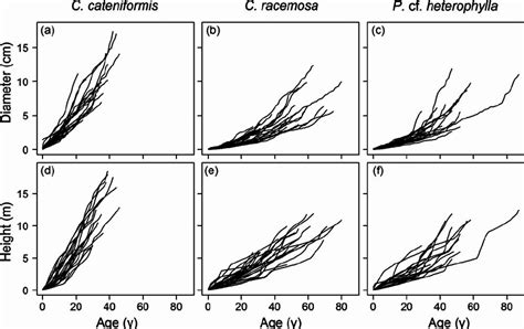 Growth Patterns Of Individual Juvenile Trees Of Three Tropical Tree Download Scientific Diagram Growth Patterns Of Individual Juvenile Trees Of Three Tropical Tree Download Scientific Diagram