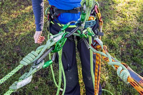 Advanced Tree Surgery Training Courses Ground Up Training