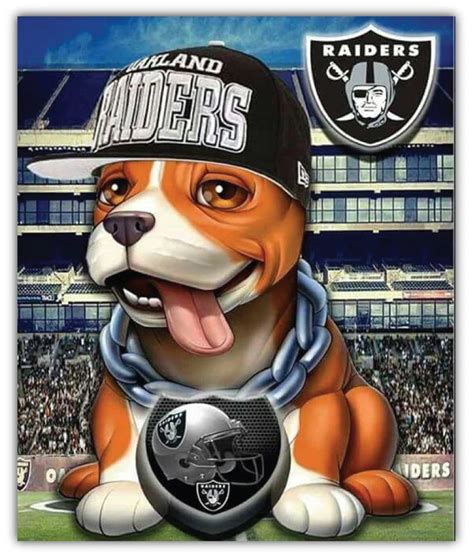 Raiders Nation Wallpaper
