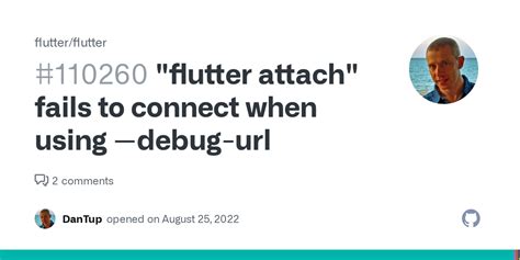 Flutter Attach Fails To Connect When Using Debug Url · Issue