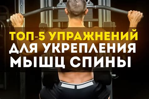 Топ 5 упражнений для укрепления мышц спины 13 03 23 18 00 Пикабу