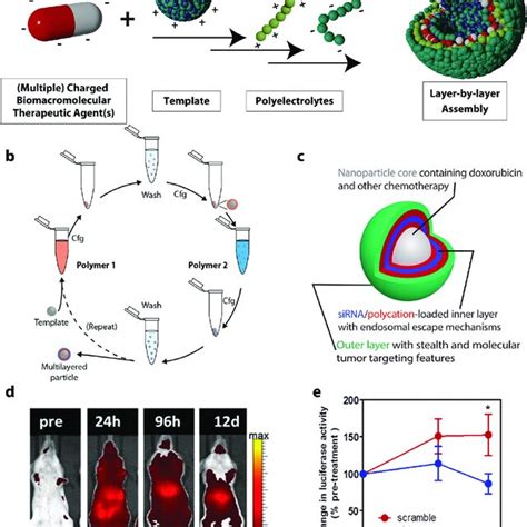 A Schematic Representation Of Layer By Layer LbL Assemblies B Download Scientific