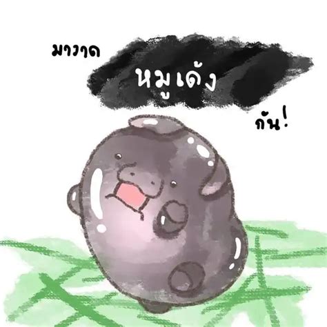 ถูกใจ 14 ครั้ง