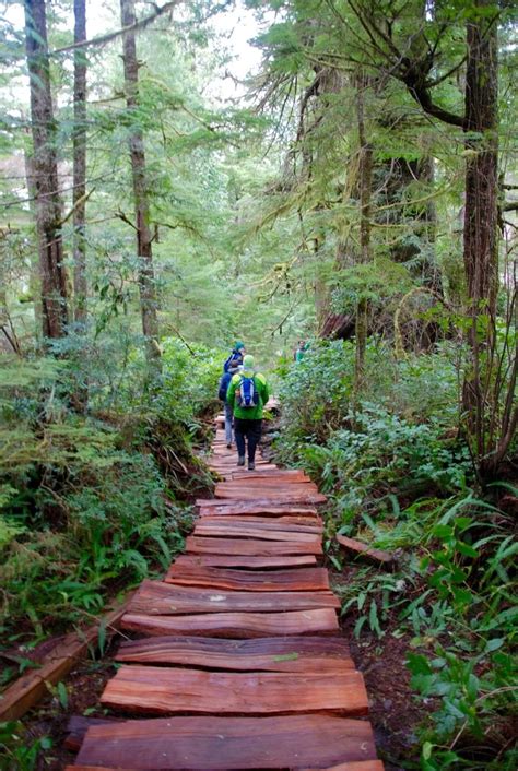 Hiking The Big Tree Trail On Meares Island