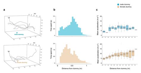 Three Dimensional Kinematic Of Contest And Courtship Flights A Example