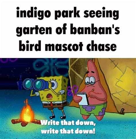 Write That Down Indigo Park 