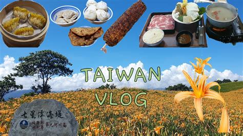 Vlog 11 2년 만에 돌아온 코시국 대만 화롄 여행 브이로그 원추리꽃 구경하고 타이루거 협곡 투어하고 동대문