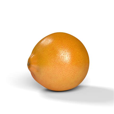 현실적인 망고 3d 모델 10 Unknown Obj Fbx Dae 3ds Free3d