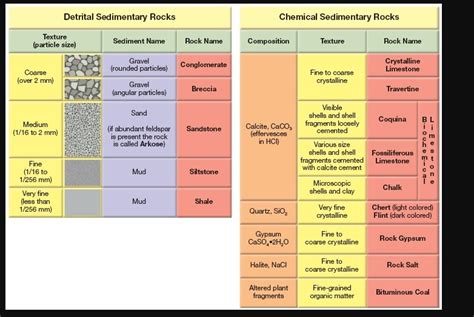 [solved] Sedimentary Rock Sample Identification 5 Pts Identify By Course Hero