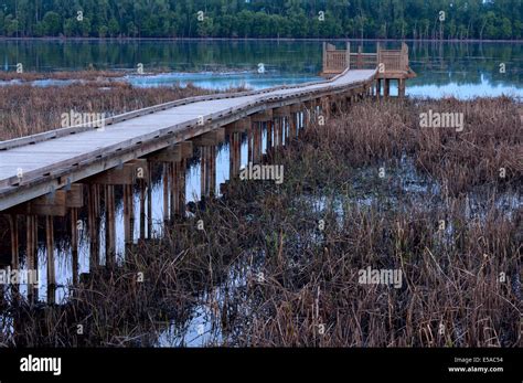 Marsh And Boardwalk Along Minnesota River In Minnesota Valley National