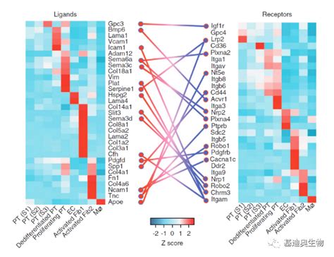 语言绘制基因表达热图彩！这般漂亮又个性的热图怎么画？ Csdn博客