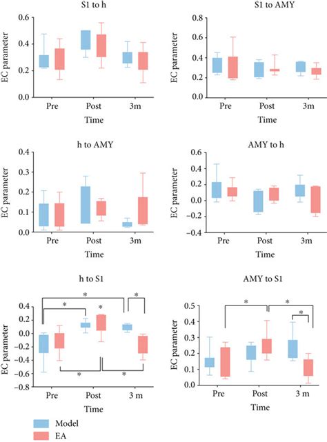 Group Effective Coupling Differences Of Postulated Cortically Driven Download Scientific