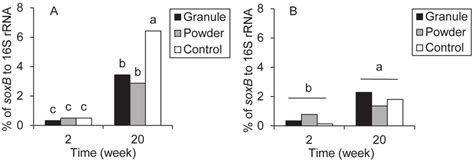 Ratios Of Soxb To 16s Rrna Gene Abundance By Using Two Soxb Primer Download Scientific Diagram