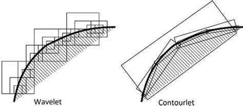 Contourlet And Wavelet Representations For Images Download Scientific Diagram