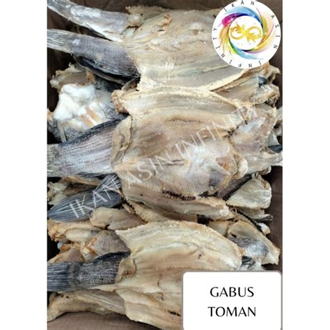 Jual Ikan Asin Gabus Toman Super 1000 Gram 1 Kg Shopee Indonesia