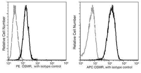 Osmr Recombinant Monoclonal Antibody 002 Apc Ma5 46728