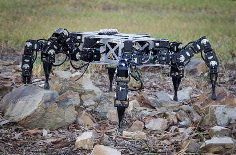 Weaver Hexapod Robot With 5dof Limbs For Navigating On Unstructured Terrain Csiro Robotics