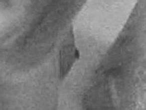 Ann Harris Nude Aznude