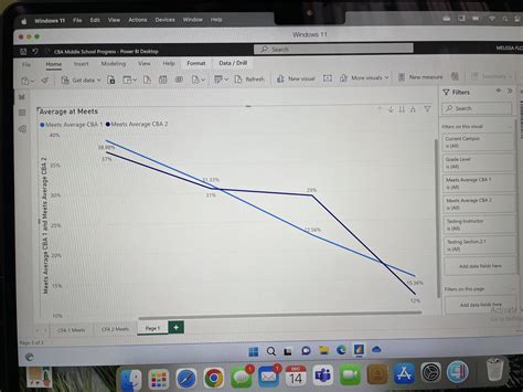 Calculated Measures Not Producing Correct Percentages In Visualization Rpowerbi