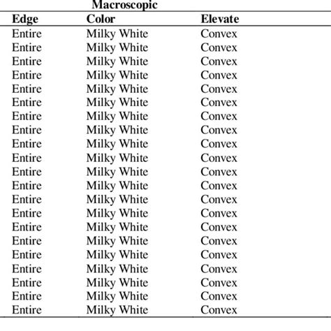 Antibacterial Test Of Lab Isolates From Sarobuong Download Scientific Diagram