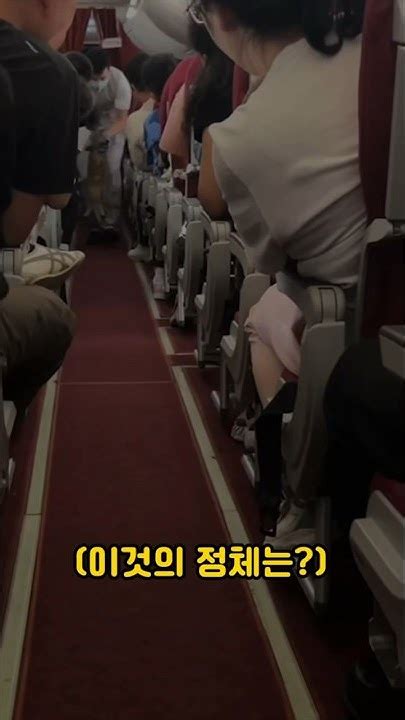 비행기에서 체포된 뜻밖의 정체 반전주의 Youtube