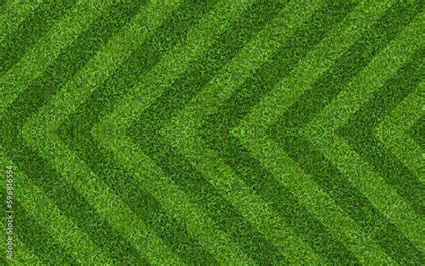 Green Grass Background Lines Stock Illustration Adobe Stock