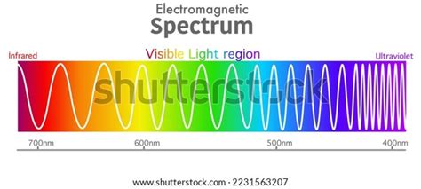 Visible Electromagnetic Spectrum Diagram Ultraviolet Infrared Stock Vector Royalty Free